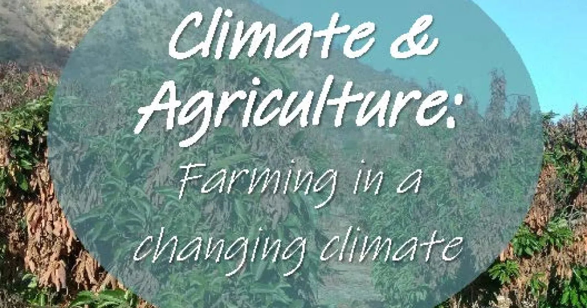 Climate & Agriculture: Farming in a changing climate | Cooperative ...