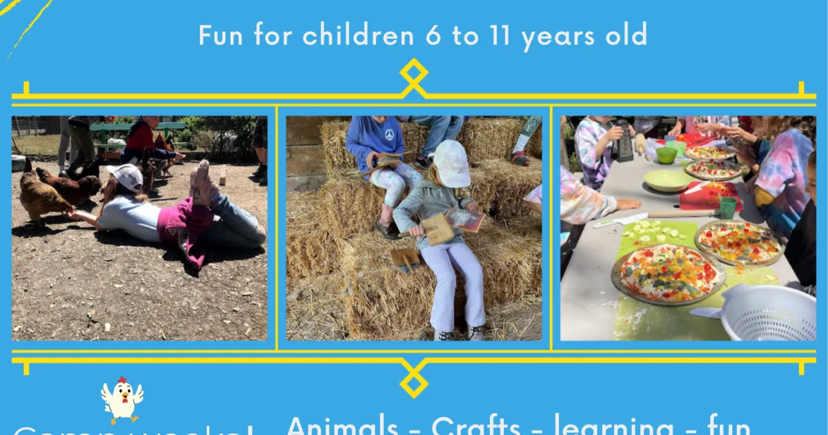 2026 Elkus Ranch Summer Camp Series | Elkus Ranch Environmental ...